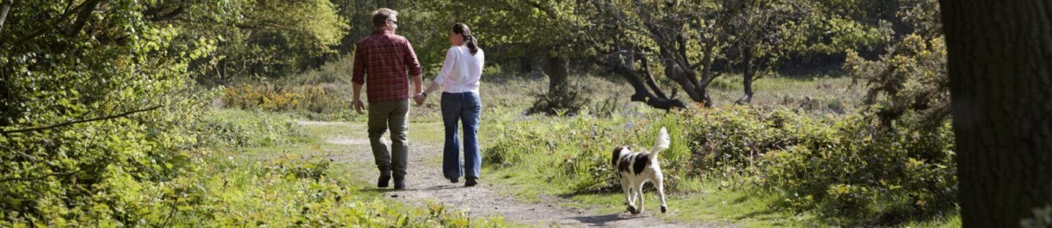 Creating Safe Walkways: Strategies for Pedestrian-Friendly Streets ...